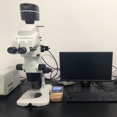 南方医科大学科研仪器共享平台|体视显微镜[看备注,工作时间才审核]